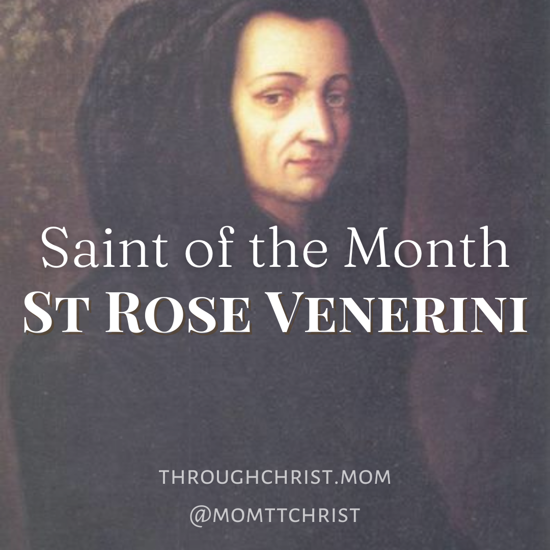 Saint of the Month: St Rose Venerini – Mom Things Through Christ