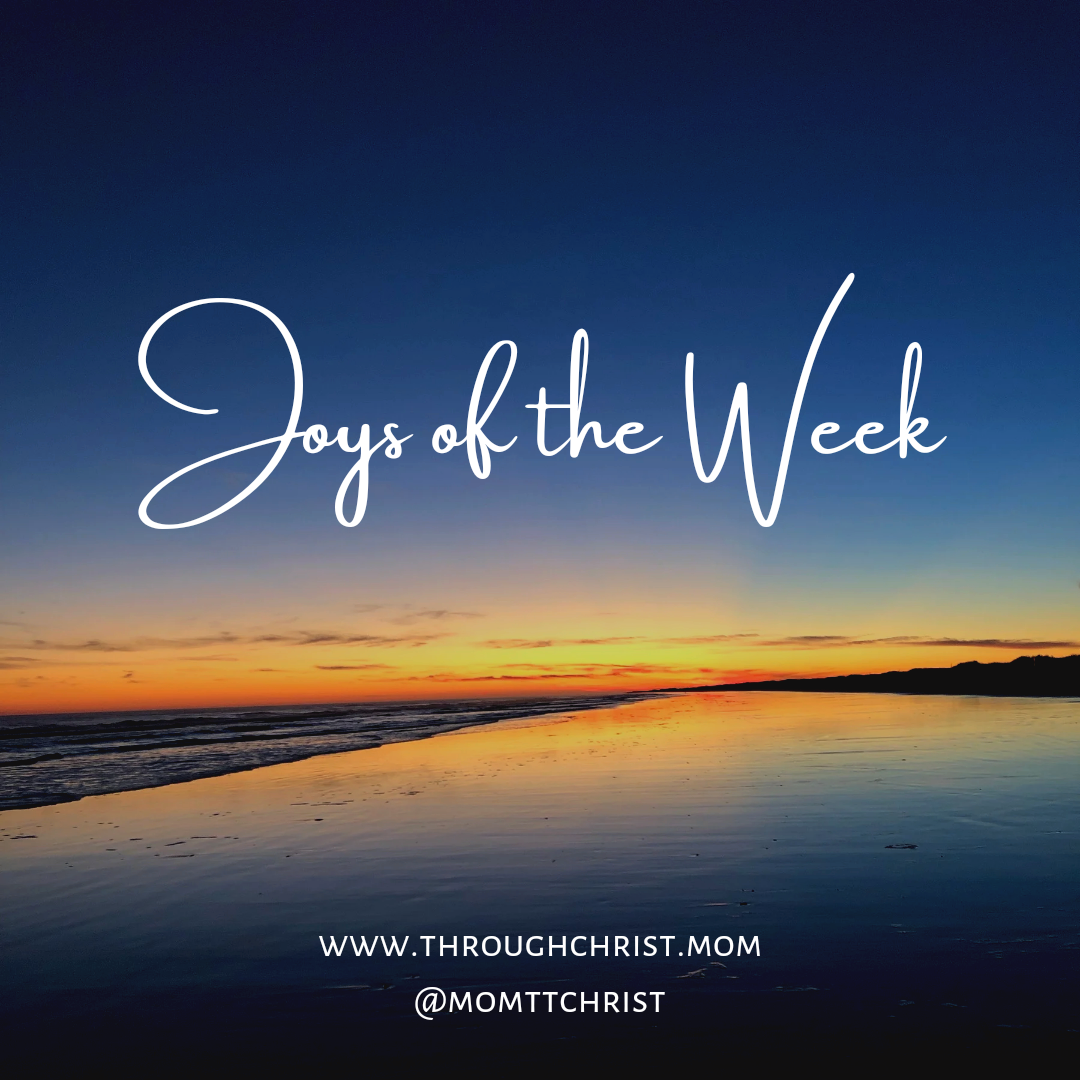 Joys of the Week: July 16-22 – Mom Things Through Christ